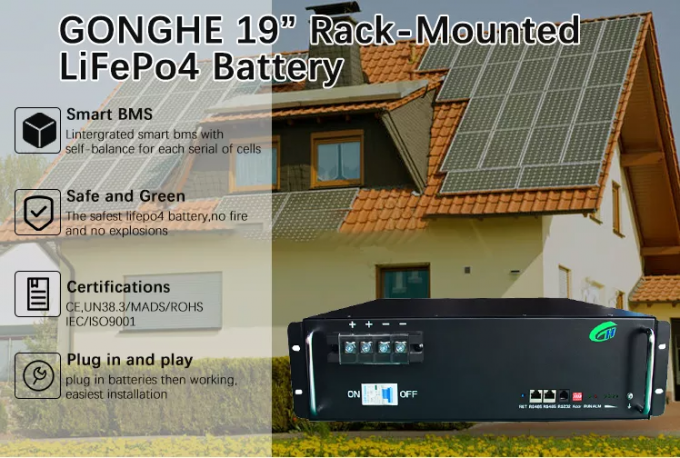 Ultraportable BMS Battery Management System 100ah 200ah For Lifepo4